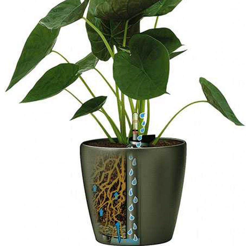 Self-Watering Planters & Systems for Plants Milpitas, CA - Kim Parker